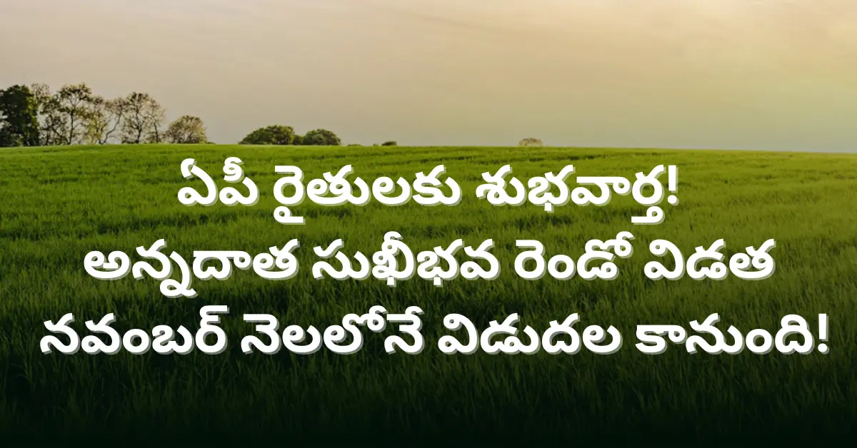 Annadata Sukhibhava 2nd Installment November 2025 - Check